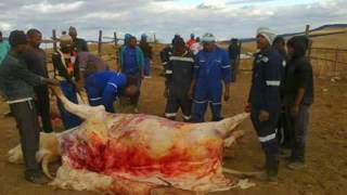 Shushu Baby Sibiziwe Kwa Bhaca Masande Mzalamba Mp3 Music & Mp4 video ...