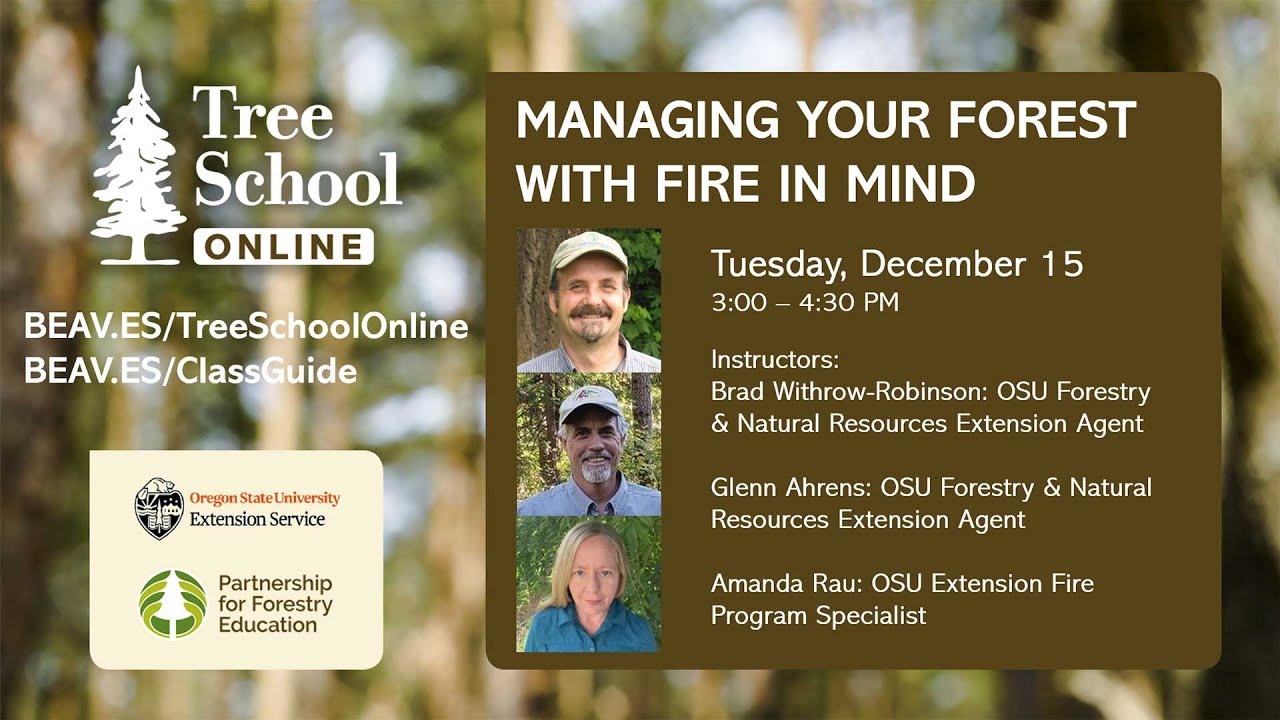 Tree School Online Managing Your Forest With Fire In Mind Youtube