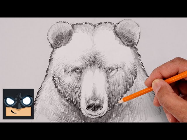 How To Draw A Grizzly Bear Step By Step Sketch Tutorial Videos For Kids