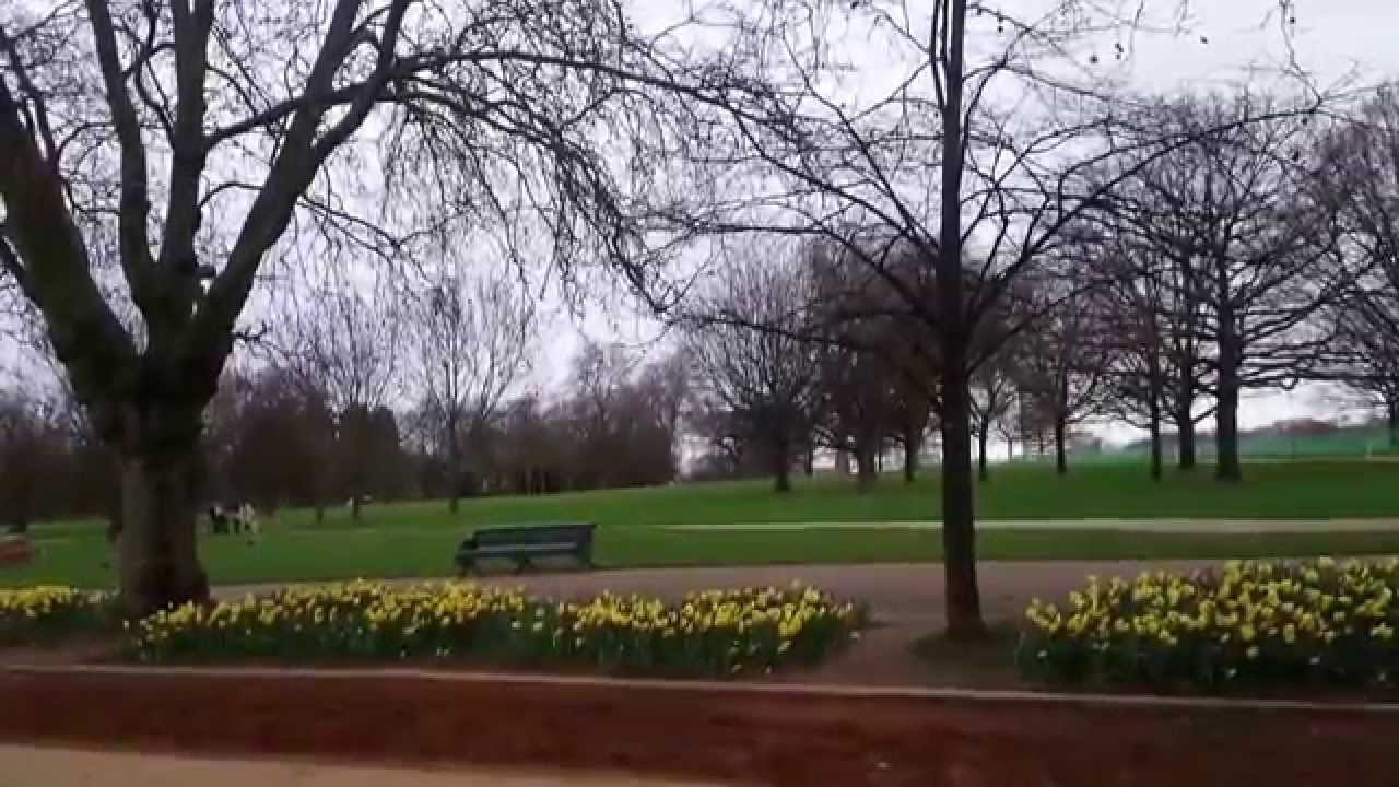 Mov 0070 Youtube