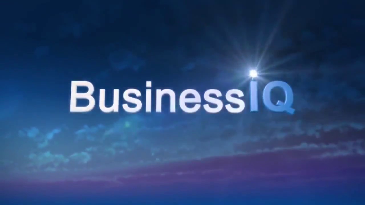 Businessiq Credit Risk Management Software Youtube