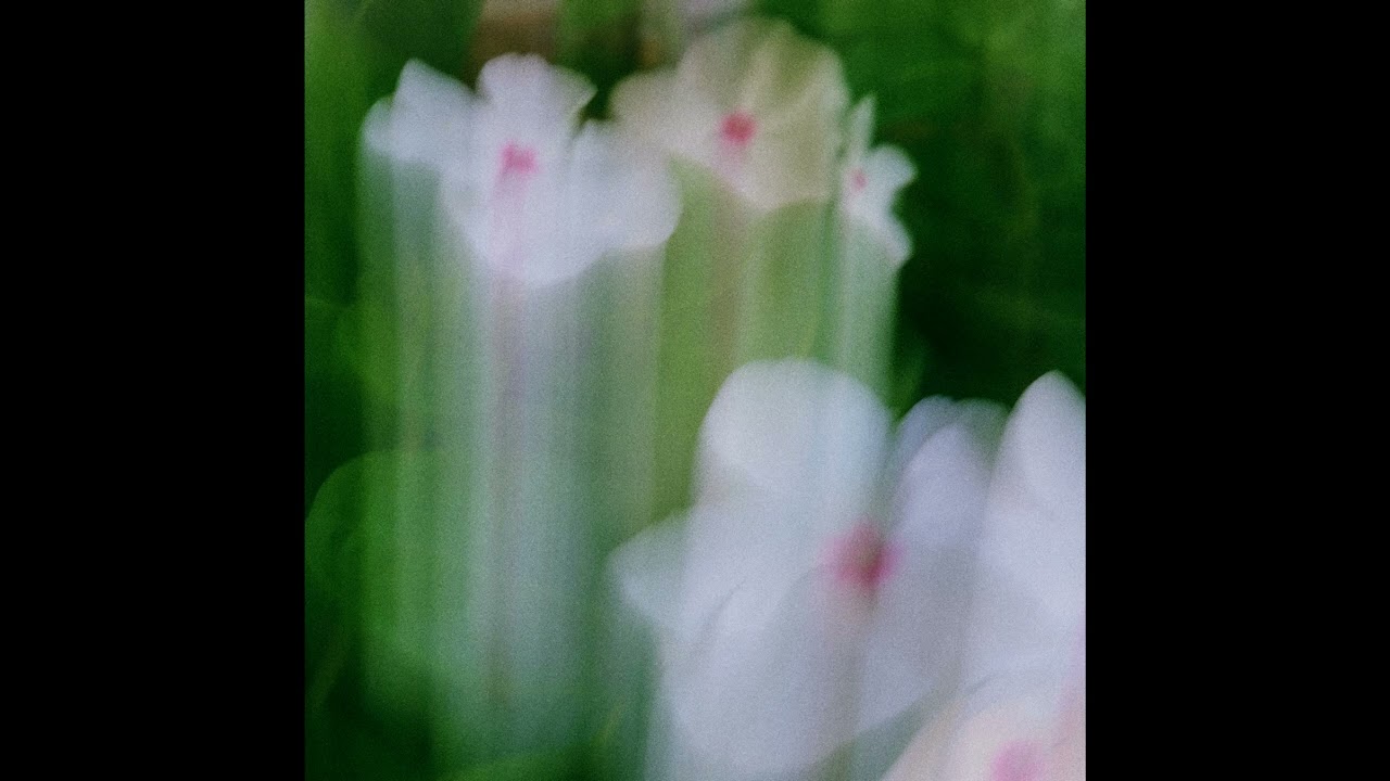 Free Acoustic Guitar Type Beat Starting New Youtube