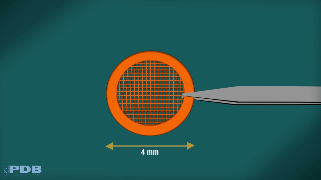 Methods For Determining Atomic Structures 3d Electron Microscopy From