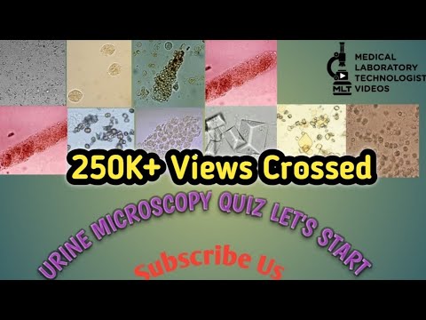 Urine Microscopy Quiz Lab Quiz Lets Start Youtube