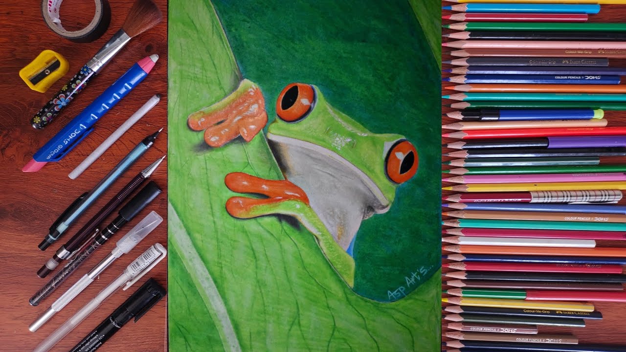 Making Red Eye Tree Frog рџђё Speed Drawing Time Lapse A S P Art S рџ њпёџрџ њпёџ
