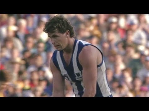 Afl S Finals Moments Wayne Carey In 94 Qualifying Final Youtube