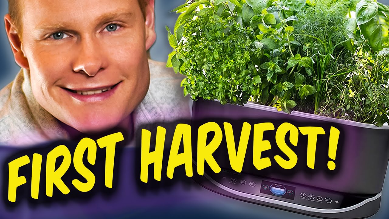 Aerogarden Tips Info Accessories And More Youtube