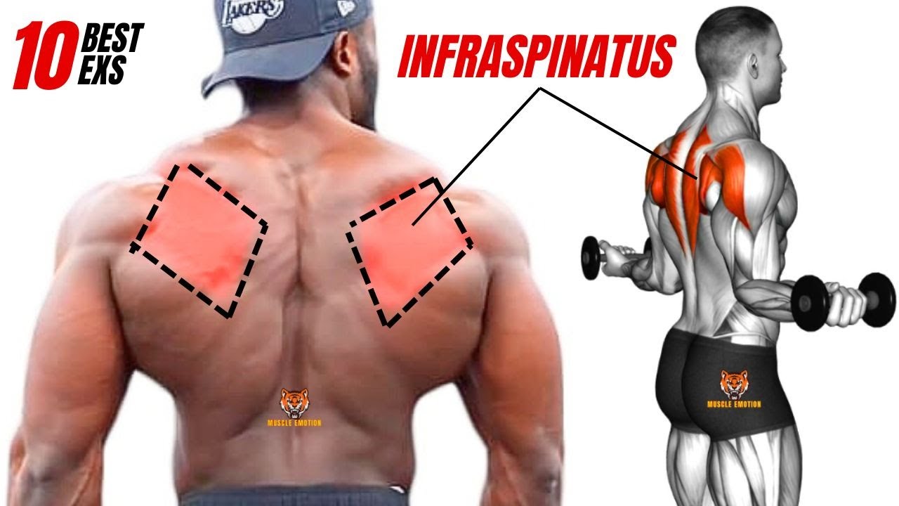 The 10 Best Infraspinatus Muscle Exercises For Good Posture And More