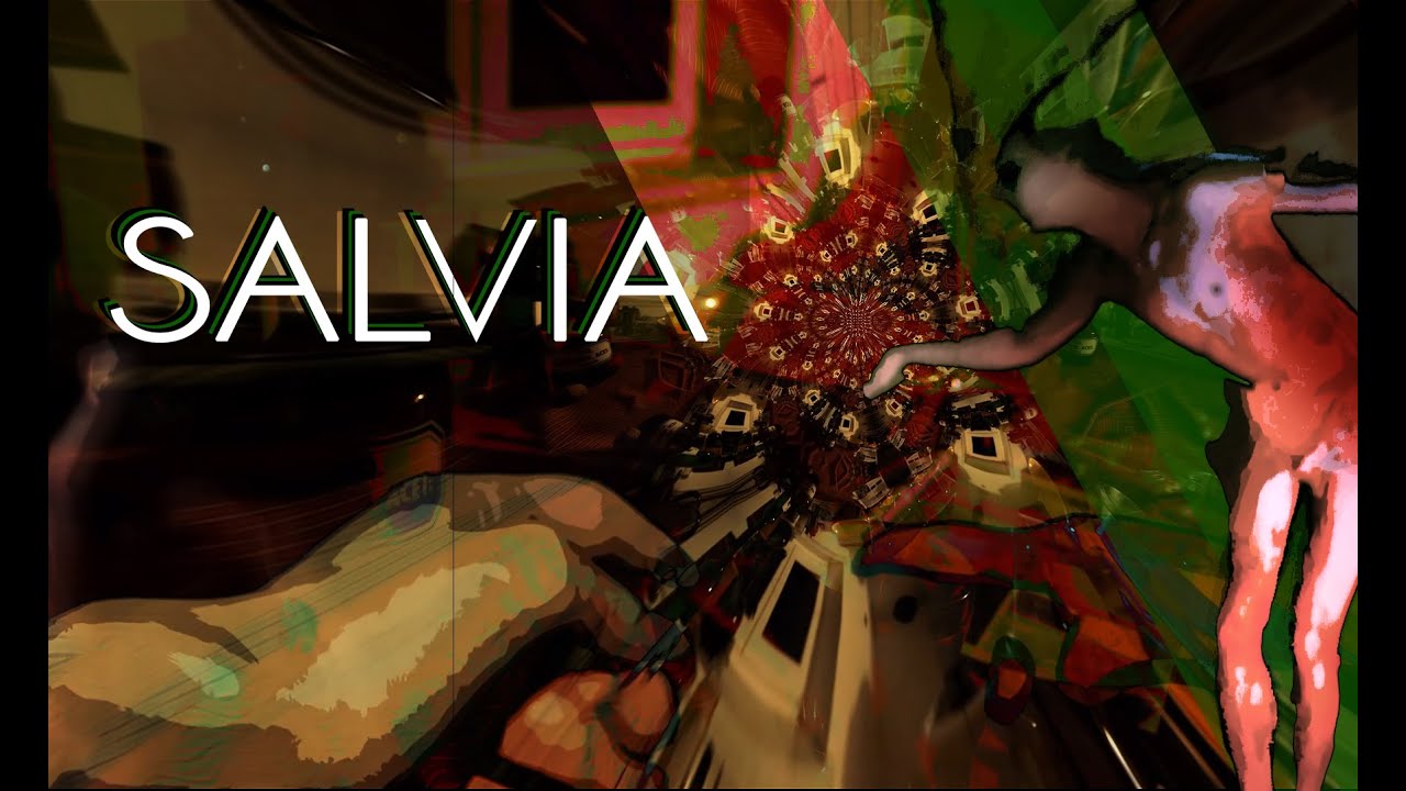 Salvia Divinorum Trip Simulation Youtube