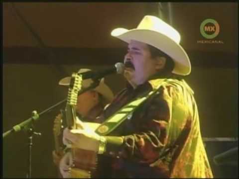 Salomon Robles El Disgusto Youtube