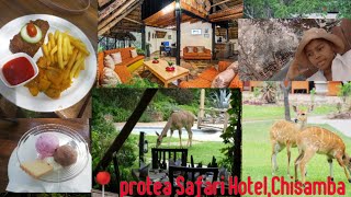 Vlog Day Trip To Protea Safari Lodge For Lunch Zambia S Hidden Gem 4k ...