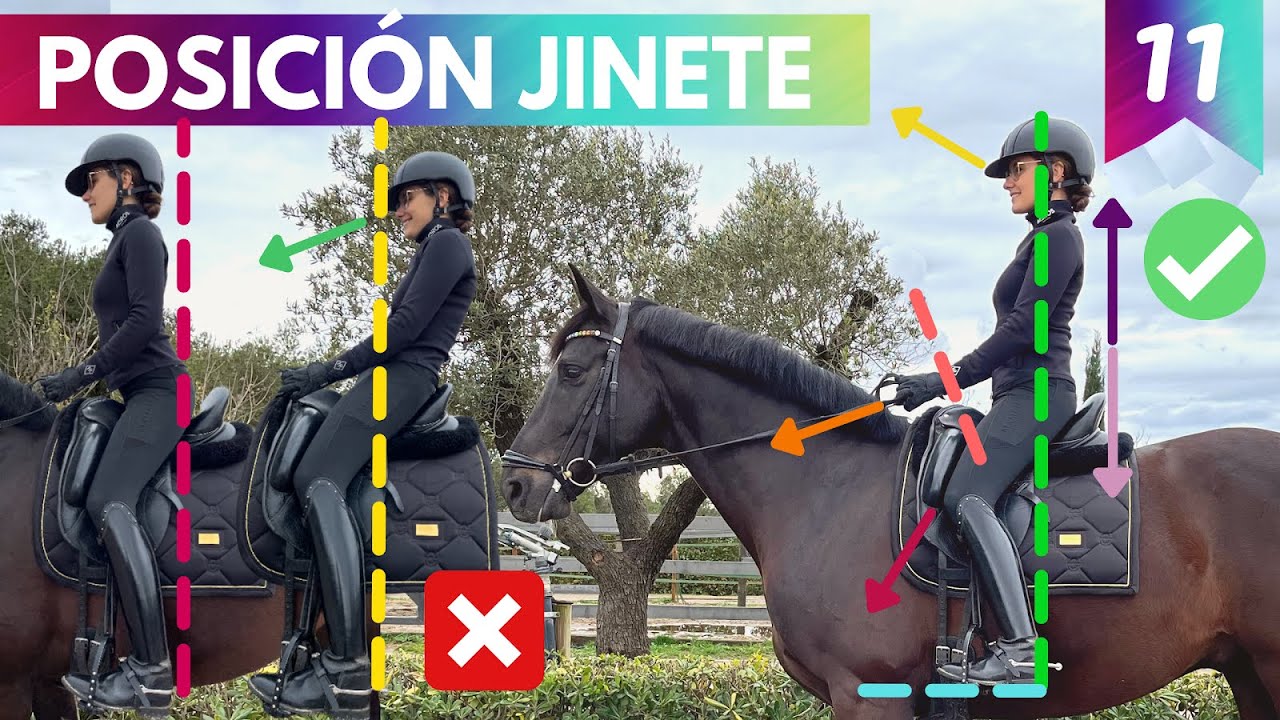 Hablamos De La Posición Del Jinete Como Tener Buena Posición A