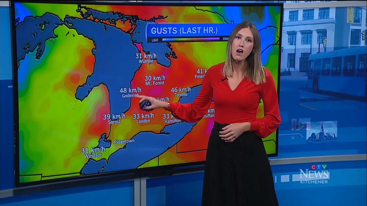 Shannon Bradbury Ctv Weather Kitchener Workin Puppies Dec 02 2020