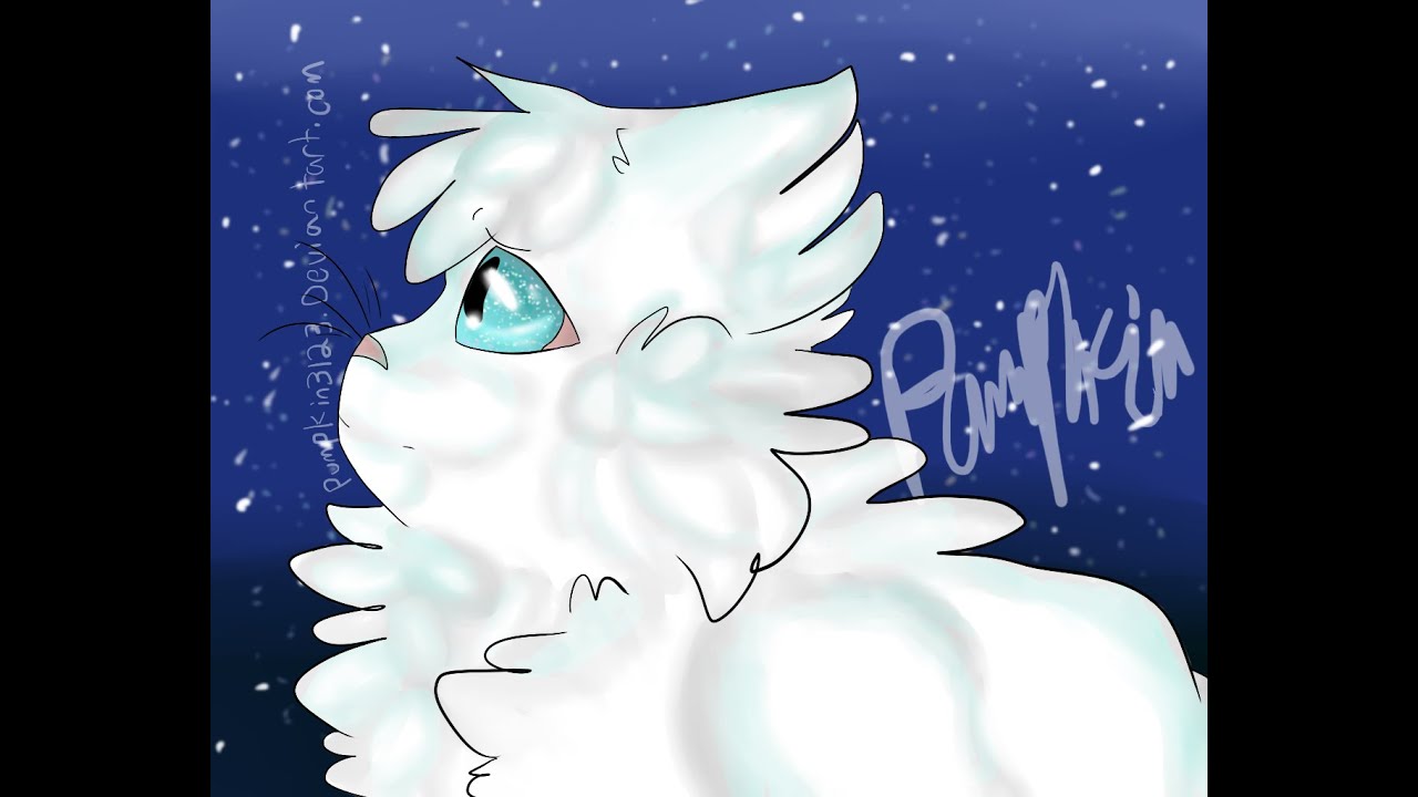 Cloudtail Is Anyone Out There Speedpaint Youtube