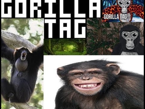 Monkeys Gorilla Tag Youtube