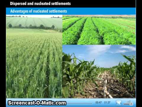 Nucleated And Dispersed Settlements Youtube