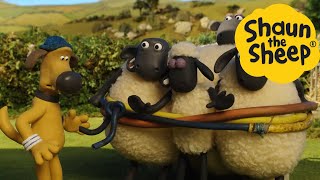 Shaun The Sheep Coconut Cartoons For Kids Full Episodes Compilation 1