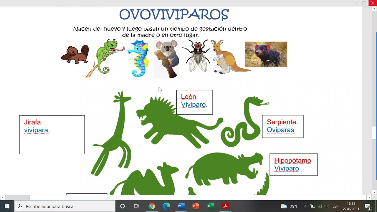 Formas De Reproduccion En Los Animales Ovoviviparos Ciencia 2 Fase