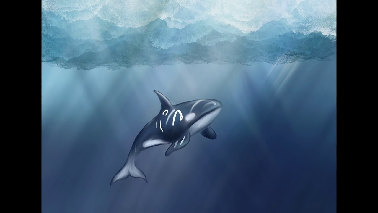 Orca Whale Digital Painting In Procreate Timelapse Youtube