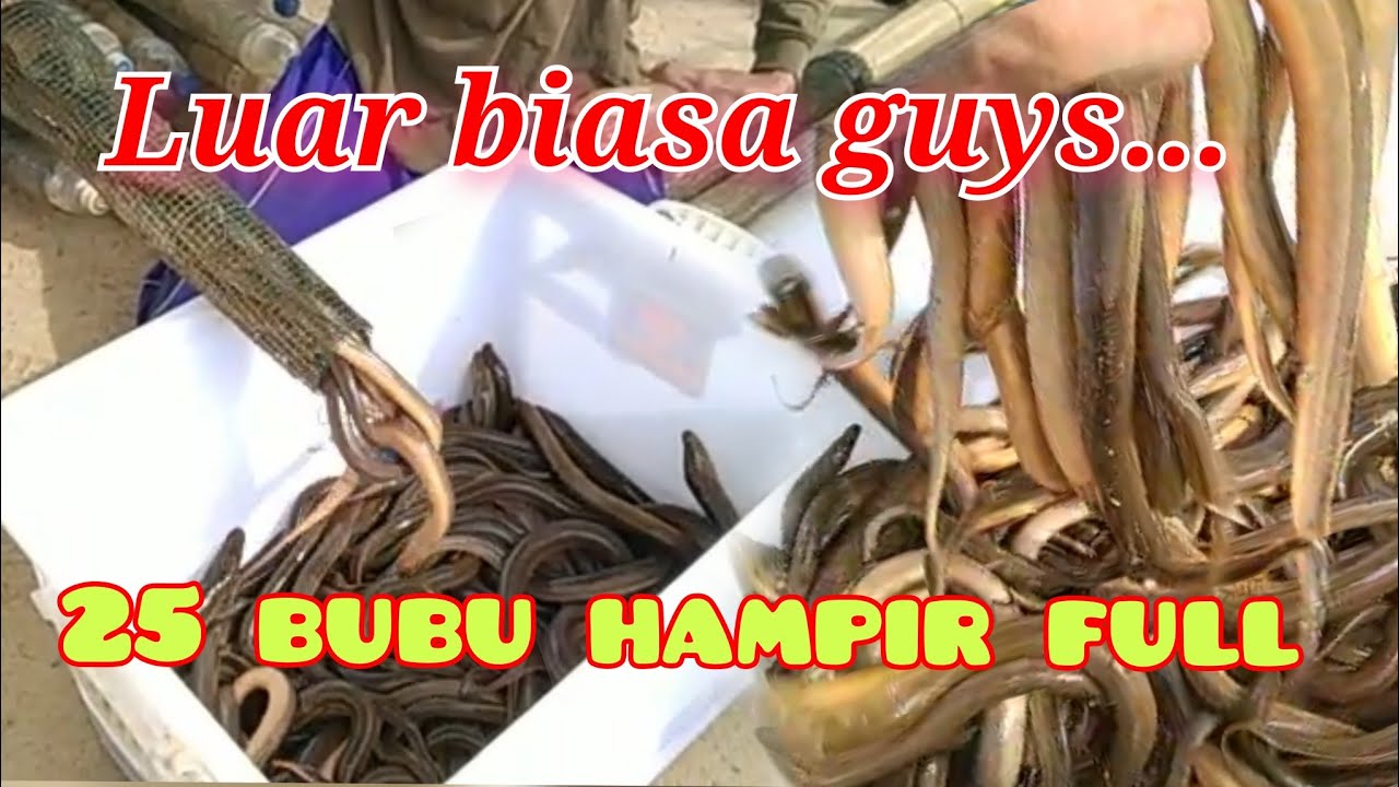 25 Bubu Hampir Full 1kotak Youtube