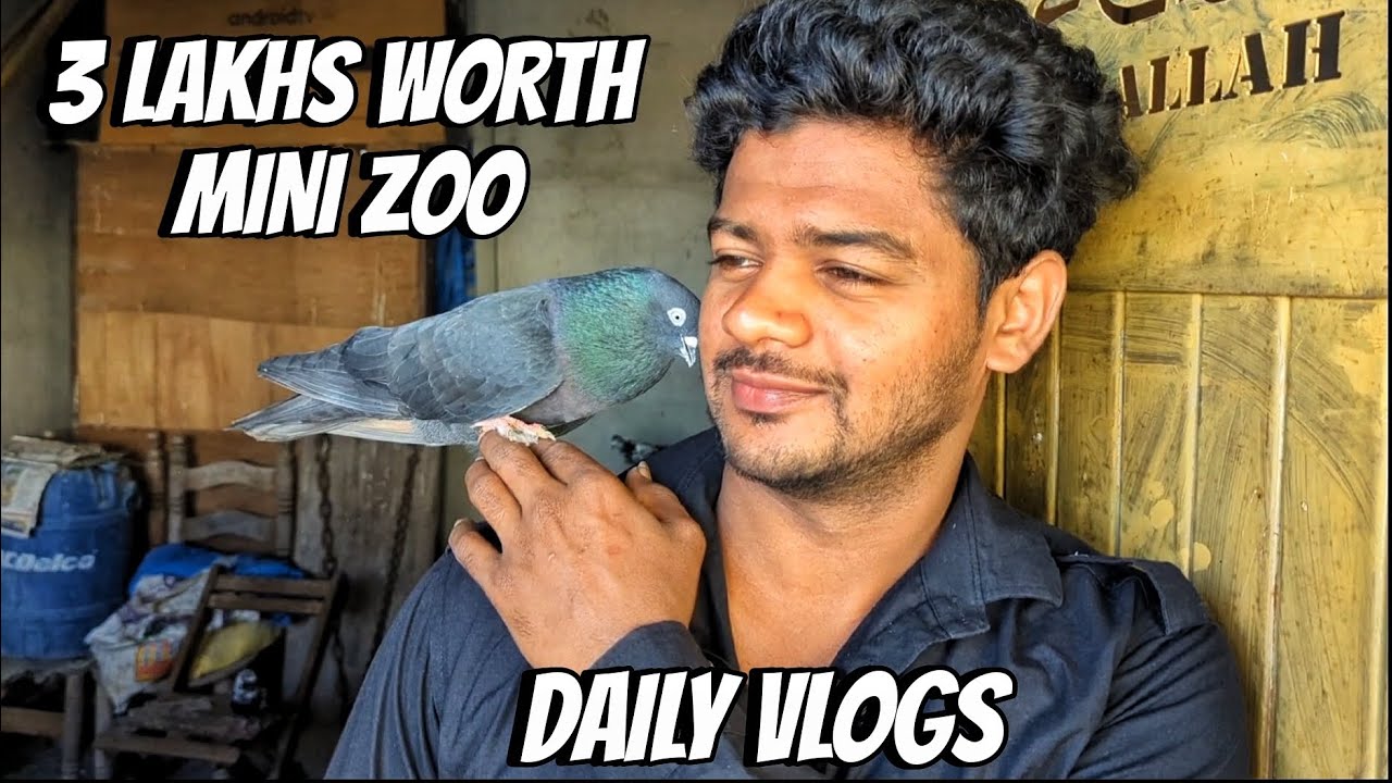 My First Mini Zoo Vlog Mini Zoo Worth 3 Lakhs Introduction Daily