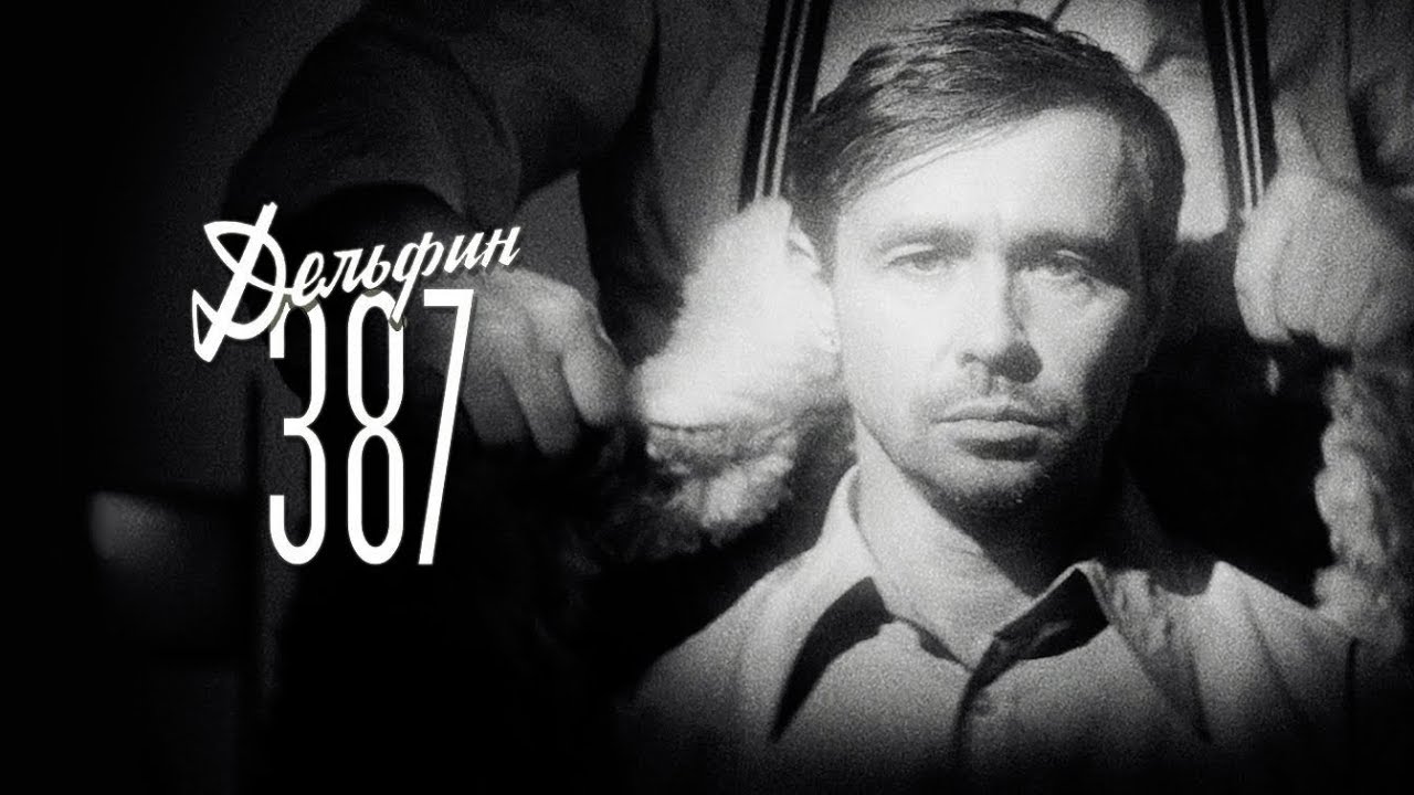 дельфин 387 Youtube