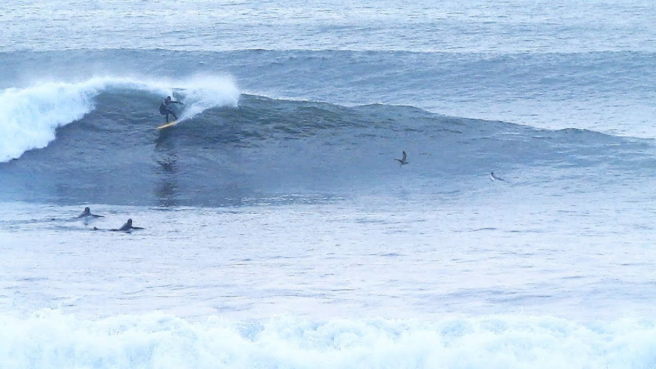 Surfing Steamer Lane 1 16 18 Am Session Youtube
