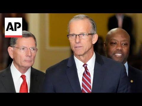 John Thune Elected The Next Senate Majority Leader Excelsio News