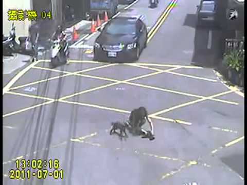 The Woman Who Took The Crushed Animal Terriblee Youtube