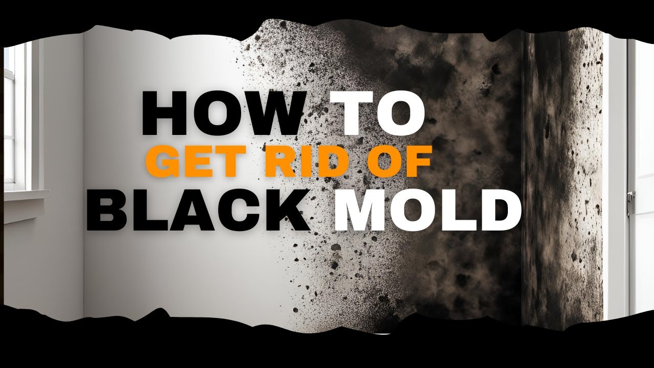 How Do You Remove Black Mold Youtube