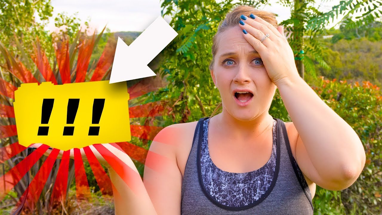 I Accidentally Destroyed It Youtube