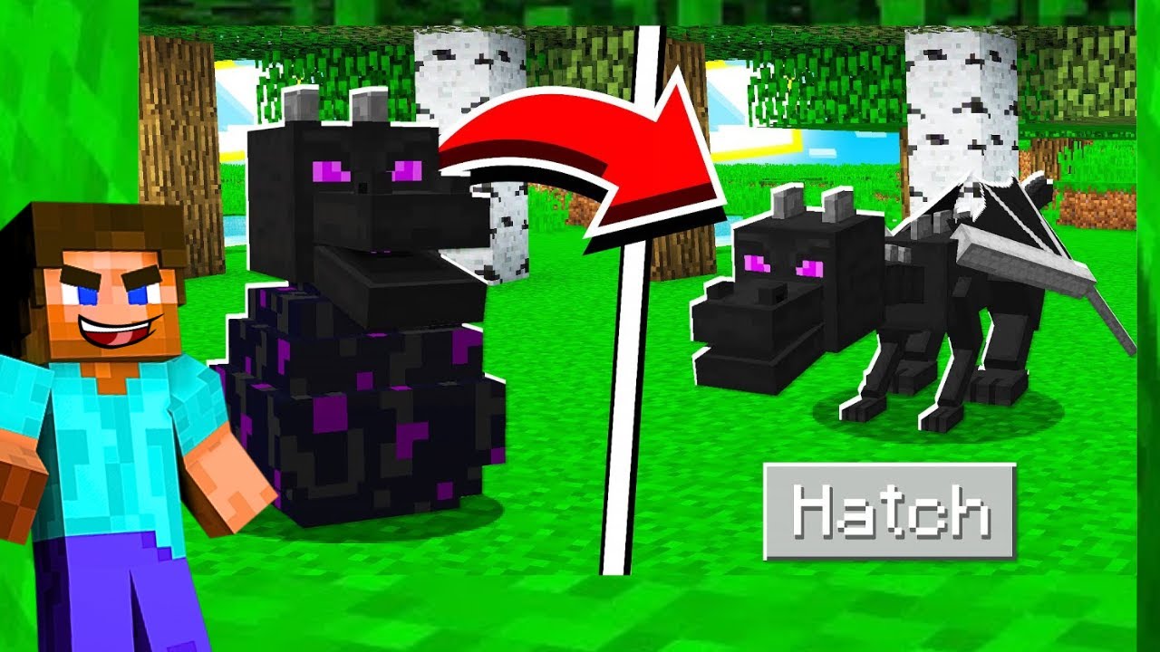 Testing Pro Minecraft Build Hacks Youtube
