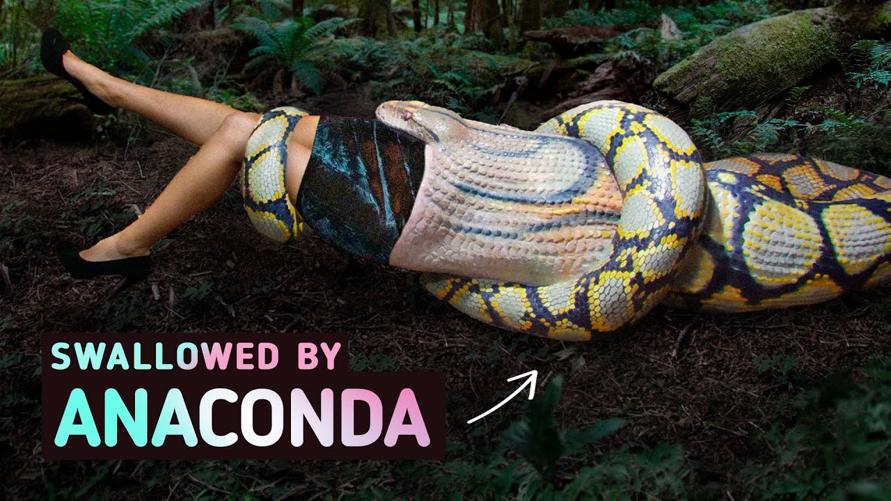 Being Swallowed By An Anaconda Youtube