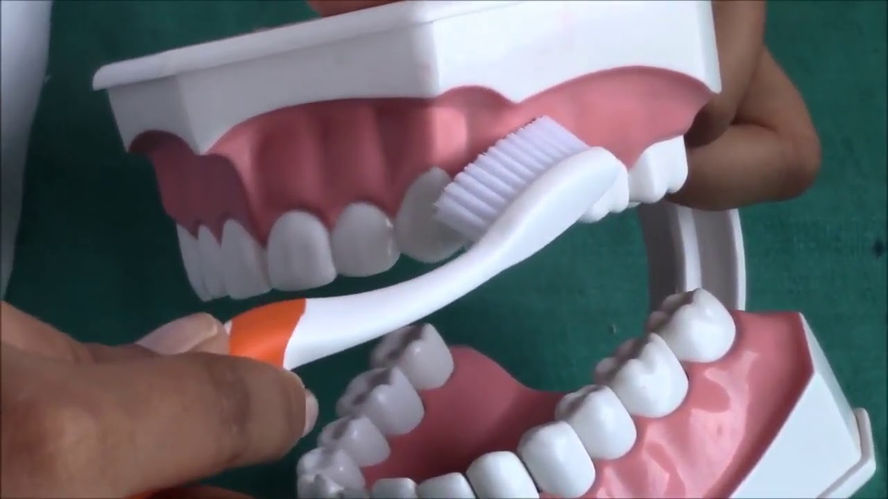 Brushing Technique Youtube