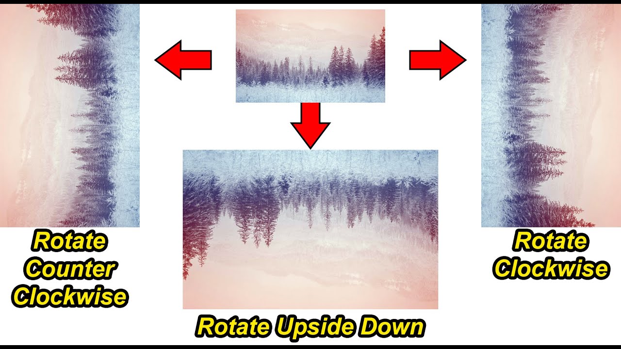 How To Rotate The Image Using Python Image Data Augmentation 4
