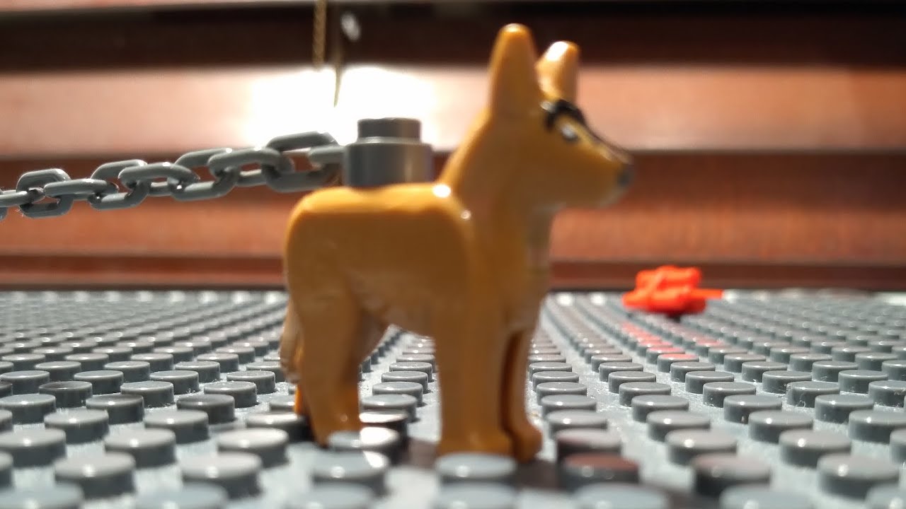 Crossing The Road Youtube