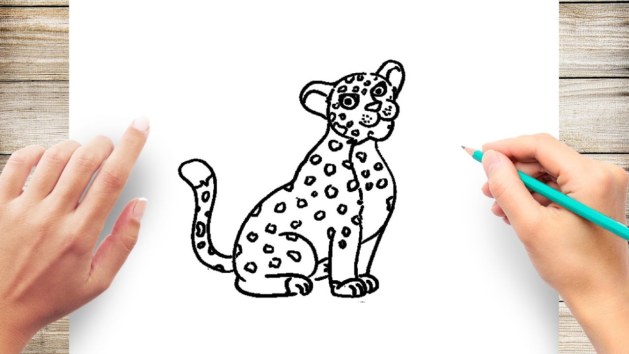 How To Draw A Baby Jaguar At Marilyn Gene Blog