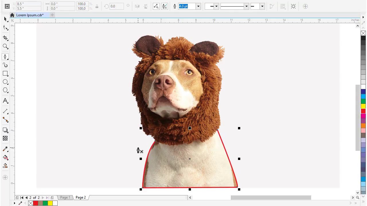 Drawing Curves Youtube