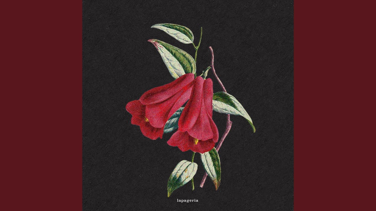 Flowers Youtube