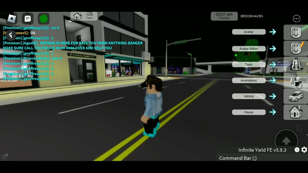 Infinite Yield Script