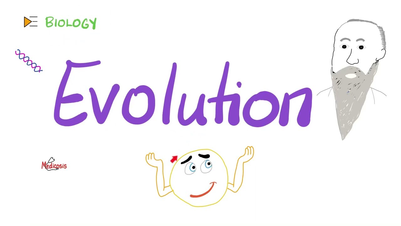 Evolution Basics Youtube