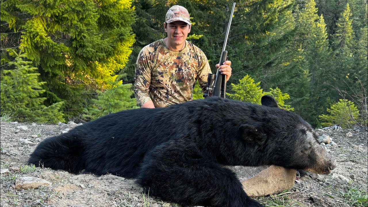 Spring Bear Hunting Oregon Youtube