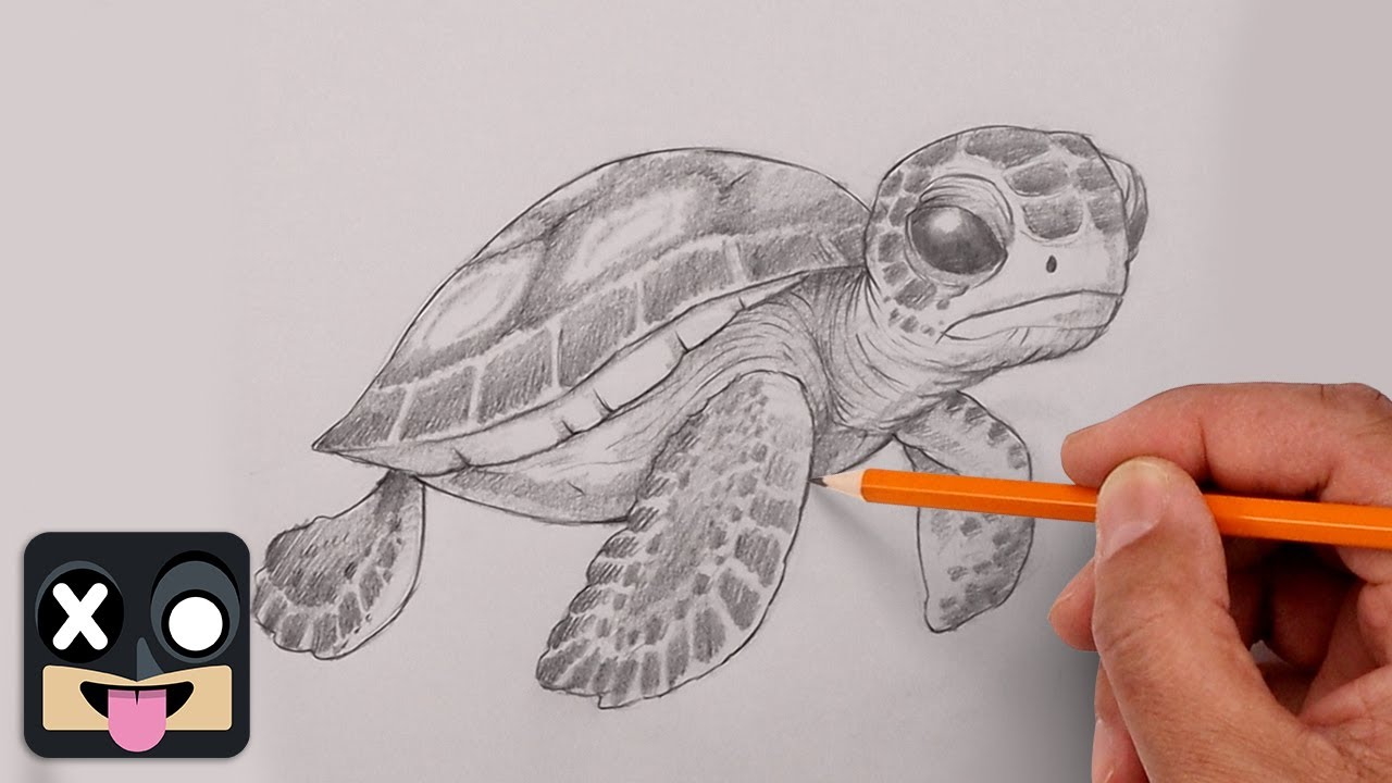 How To Draw A Sea Turtle Sketch Tutorial Youtube