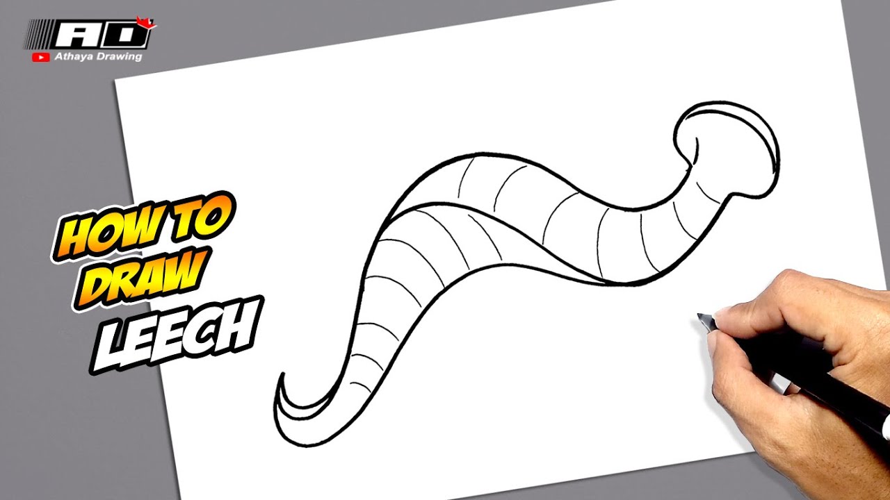 Leech Drawing Easy Step By Step