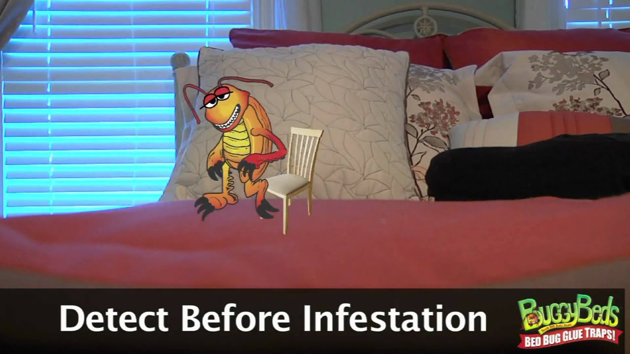 Buggybeds How It Works Youtube