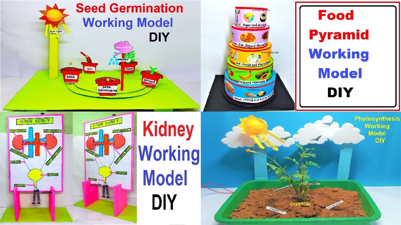Science Exhibition Models