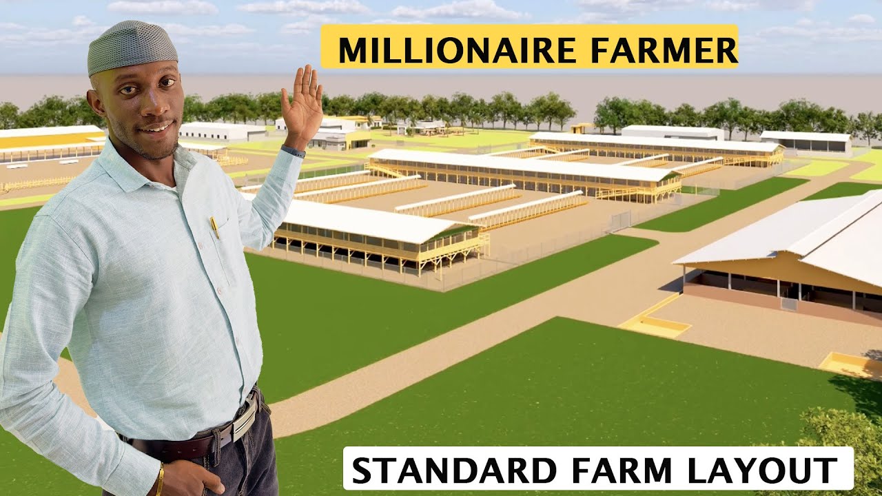 Farm Plan Design 1 6 Farm Layout Need Ideas R Farmsofstardewvalley