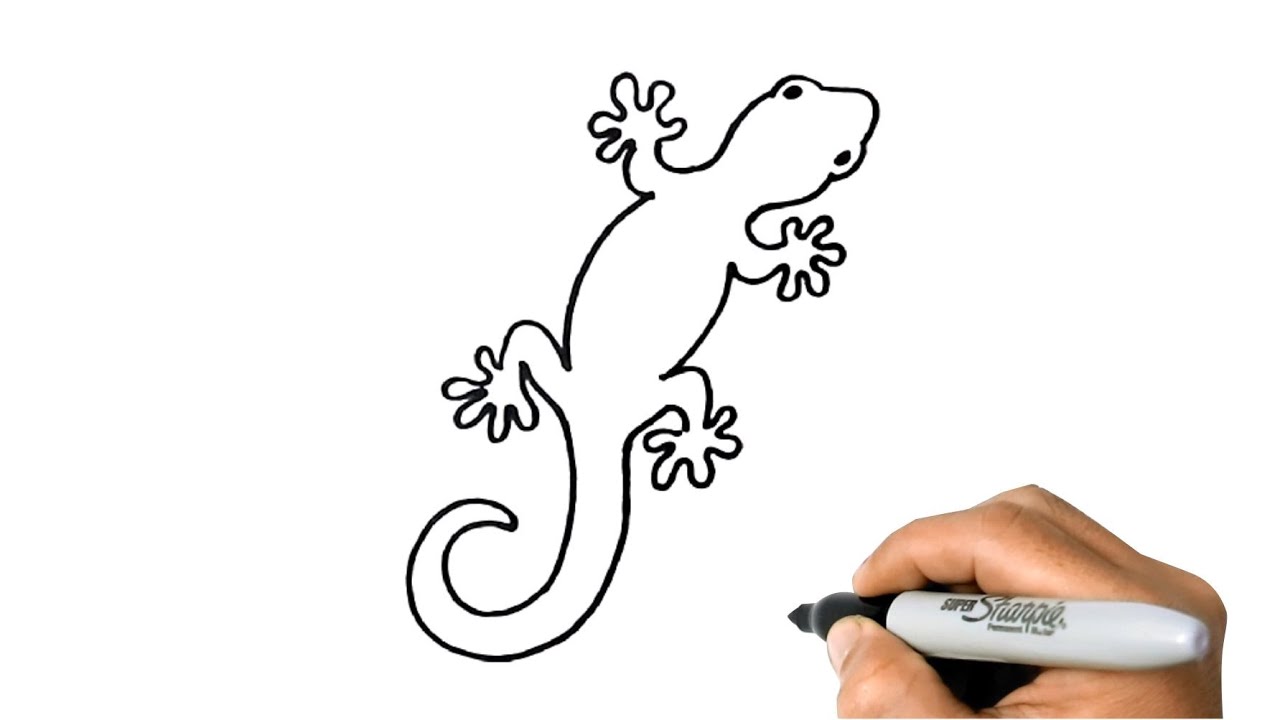 Gecko Drawing Outline