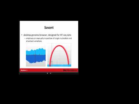 Tools For Ht Seq Data Visualization Youtube