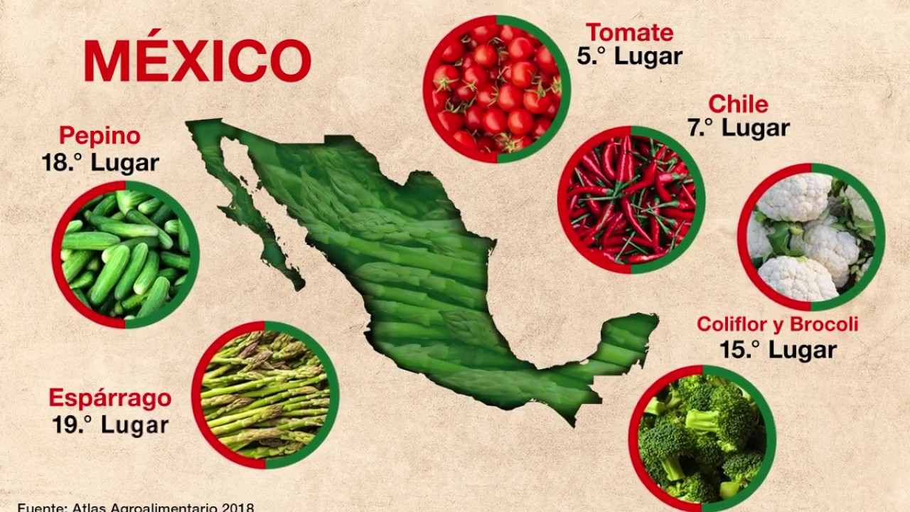 México Un País Abundante Y Diverso En Agricultura Youtube